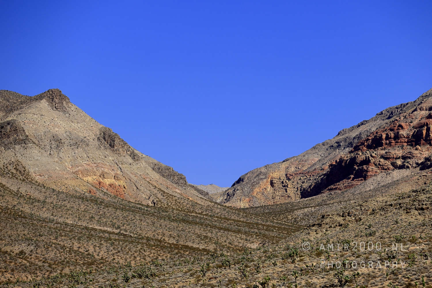 Western USA Nature Photography by Amir Darzi