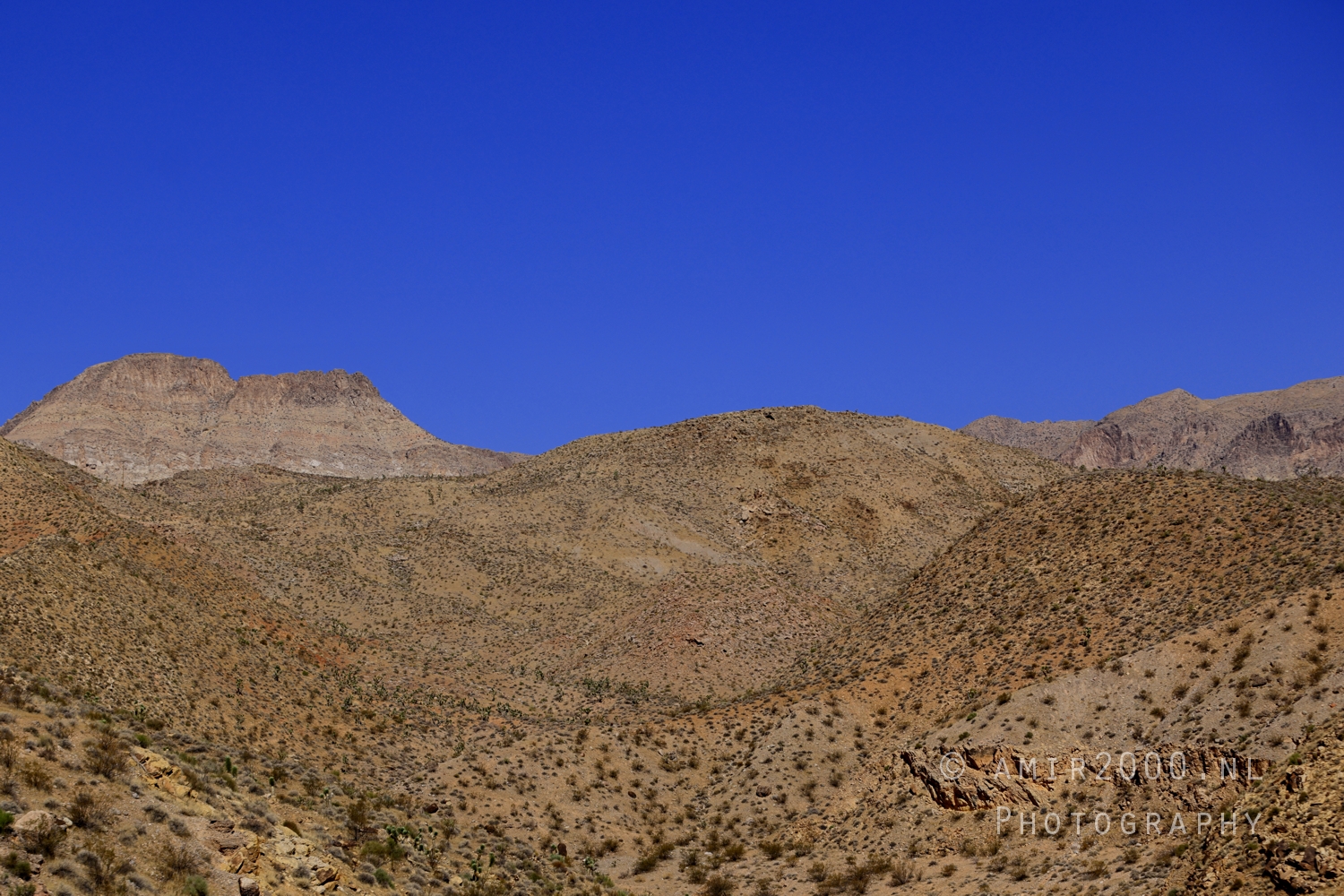 Western USA Nature Photography by Amir Darzi