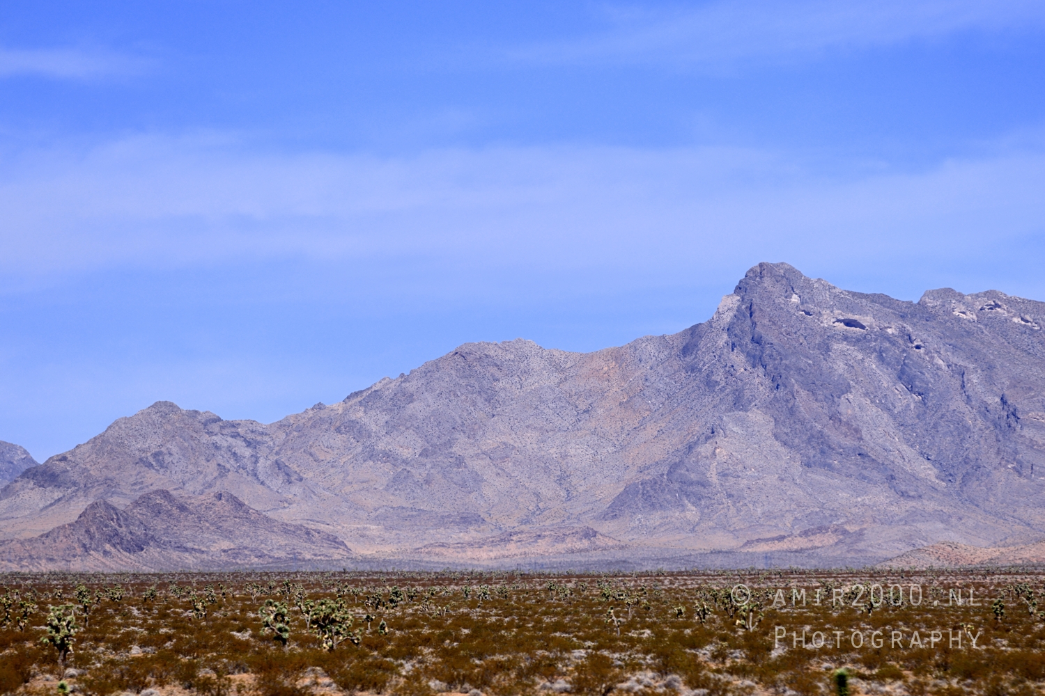 Western USA Nature Photography by Amir Darzi