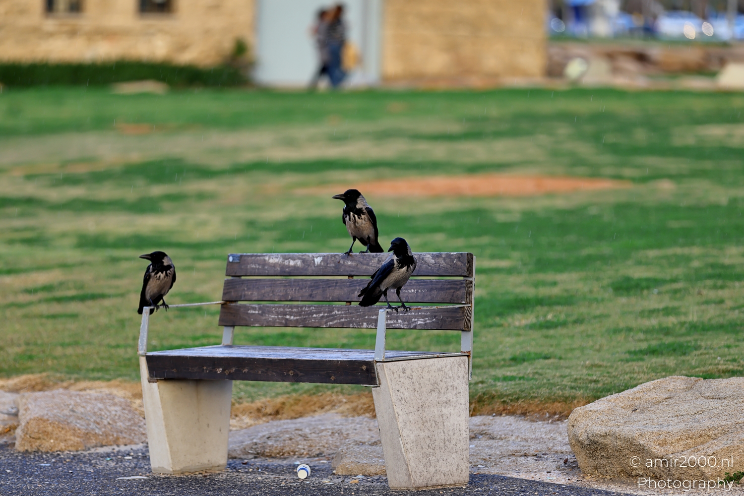 Cityscape Photography – Urban Vibes by Amir Darzi